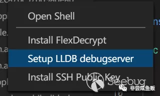 VSCode 下的 frida 插件
